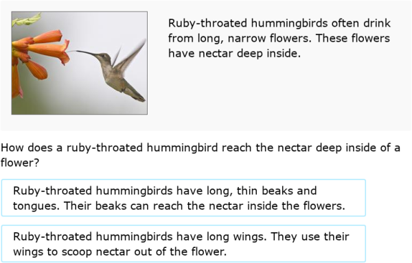 IXL | Pollinator: ruby-throated hummingbird | 1st grade science