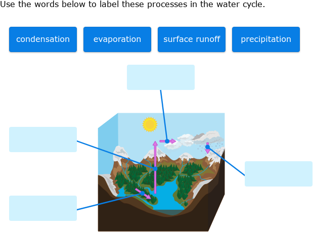 Water Cycle Diagram For 5th Grade