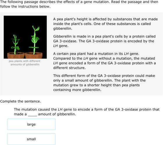 IXL | Describe the effects of gene mutations on organisms | 6th grade ...