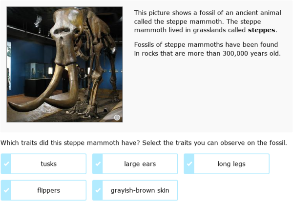 IXL | Compare fossils to modern organisms | 7th grade science