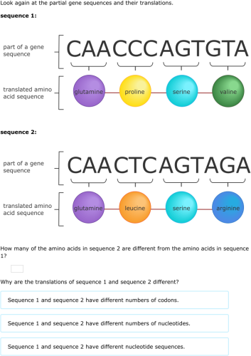 IXL | Genes, proteins, and traits: understanding the genetic code | 6th ...