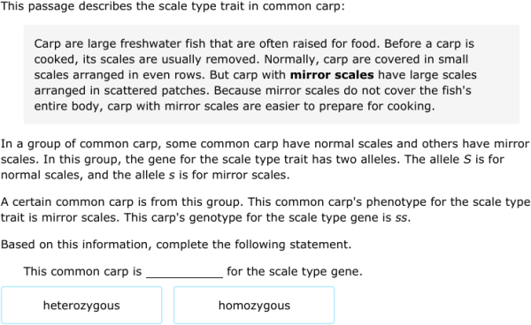 IXL | Genetics vocabulary: genotype and phenotype | 7th grade science