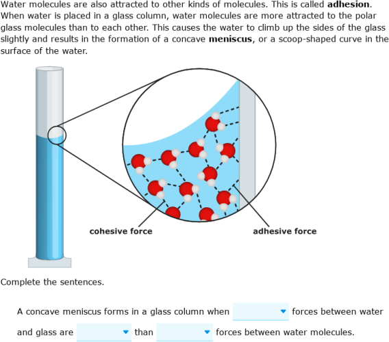 Water Cohesion Diagram