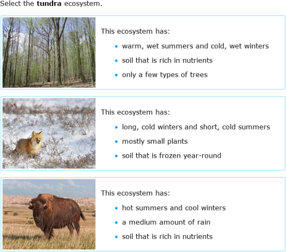 IXL | Identify terrestrial ecosystems | 6th grade science
