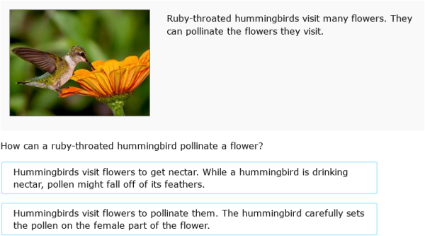 IXL | Pollinator: ruby-throated hummingbird | 3rd grade science