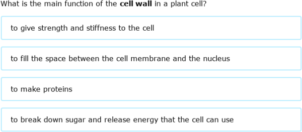 IXL | Identify functions of plant cell parts | 6th grade science