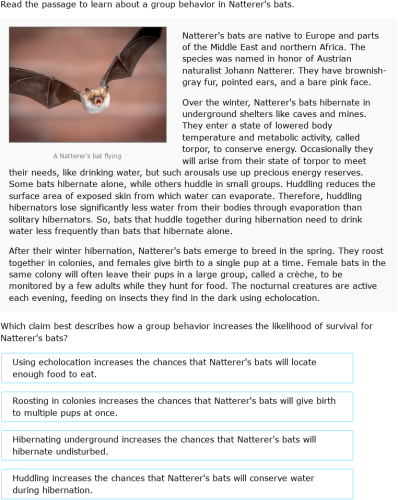 IXL - How can group behavior affect survival? Identify evidence to ...