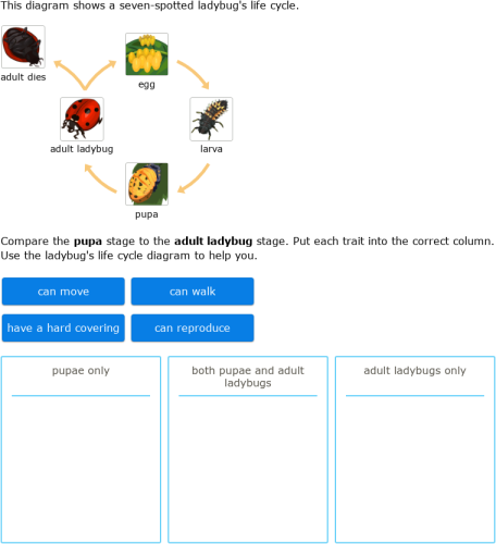 IXL | Compare stages of an animal's life cycle | 3rd grade science