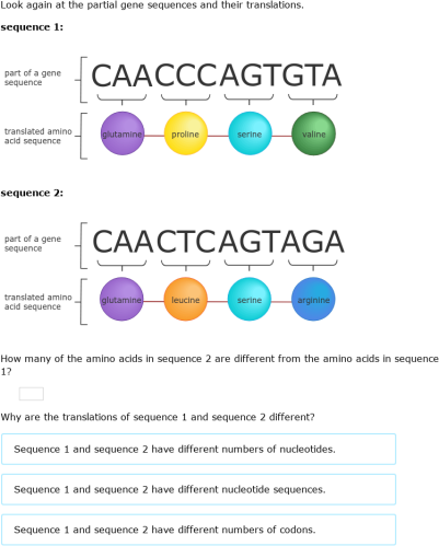 IXL | Genes, proteins, and traits: understanding the genetic code | 6th ...