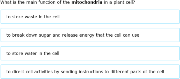 IXL | Identify functions of plant cell parts | 5th grade science