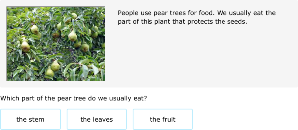 IXL | Classify fruits and vegetables as plant parts | 2nd grade science