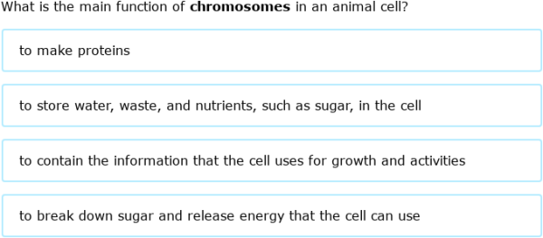 IXL - Identify functions of animal cell parts (Biology practice)