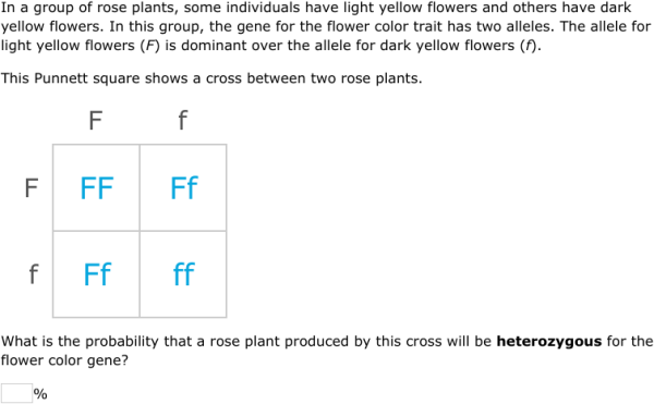 IXL | Use Punnett squares to calculate probabilities of offspring types ...