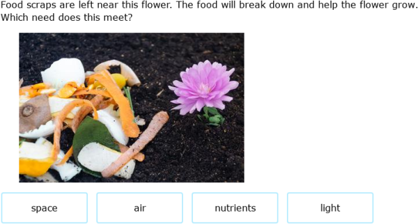 IXL | What do plants need to survive? | 2nd grade science