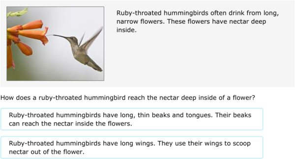 IXL | Pollinator: ruby-throated hummingbird | 2nd grade science