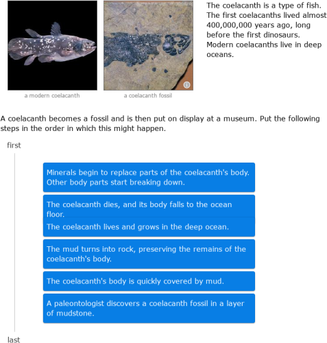 IXL | Introduction to fossils | 4th grade science