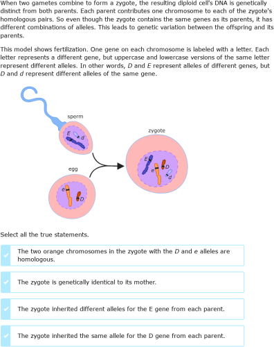 IXL - Sexual reproduction and genetic variation: part I (Biology practice)