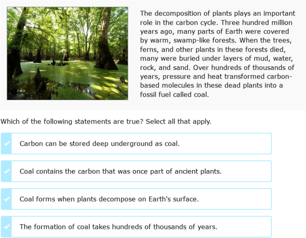 IXL | The carbon cycle | 6th grade science
