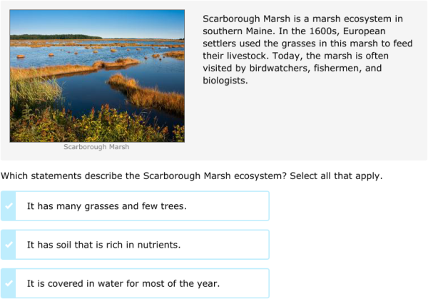 IXL | Describe ecosystems | 7th grade science