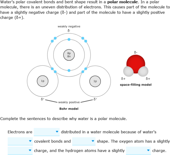 IXL - Chemistry of water (Biology practice)