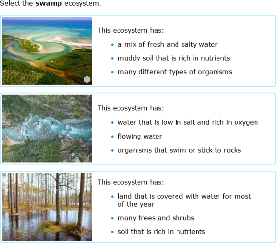 IXL | Identify aquatic ecosystems | 5th grade science