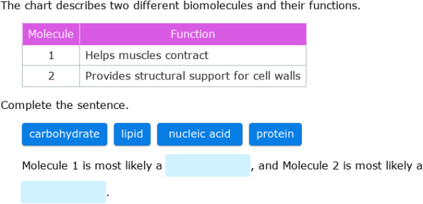 IXL - Compare the structures and functions of biomolecules (Biology ...