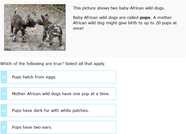 IXL | Benefits of group behavior: African wild dogs | 3rd grade science