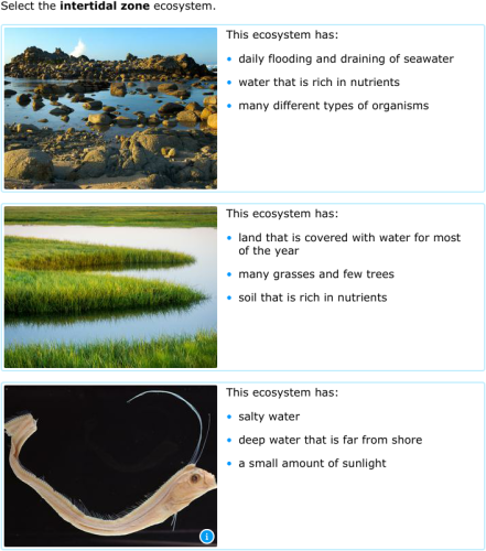 IXL | Identify ecosystems | 7th grade science