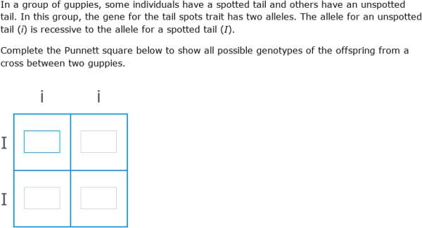 IXL | Complete and interpret Punnett squares | 8th grade science