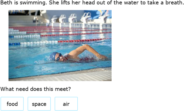 IXL | What do animals need to survive? | Kindergarten science