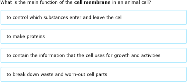 IXL | Identify functions of animal cell parts | 7th grade science