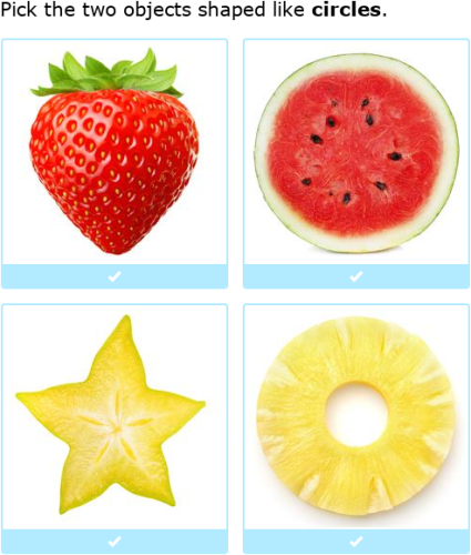 Things Shaped Like A Circle