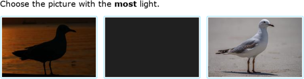 IXL | More light or less light | 1st grade science