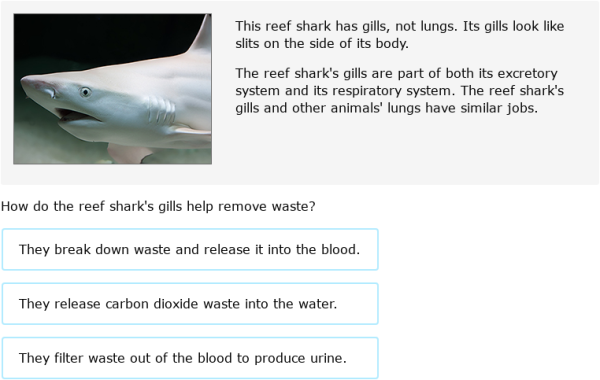 IXL | Body systems: removing waste | 6th grade science