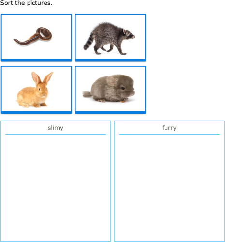 IXL | Sort objects by texture | Kindergarten science