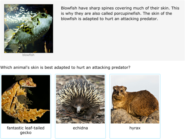 IXL | Animal adaptations: skins and body coverings | 3rd grade science