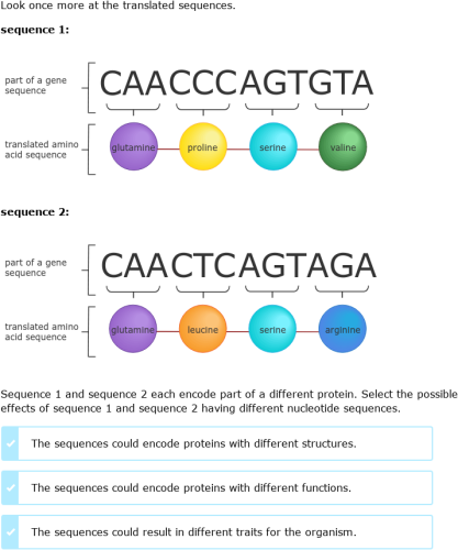IXL | Genes, proteins, and traits: understanding the genetic code | 8th ...