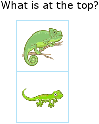 IXL | Top and bottom | Kindergarten math