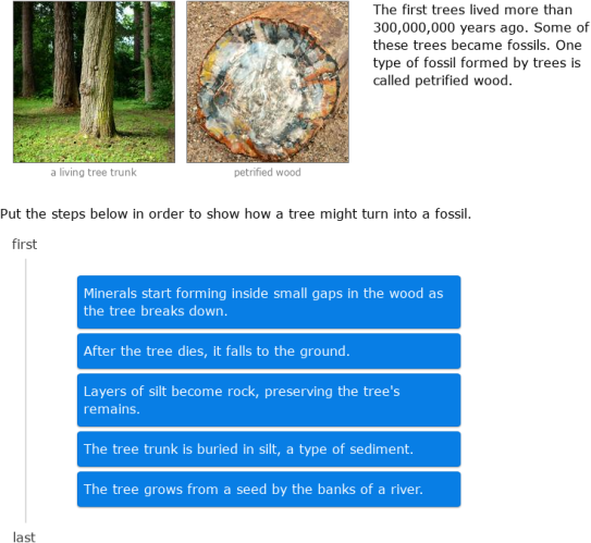 IXL | Introduction to fossils | 5th grade science