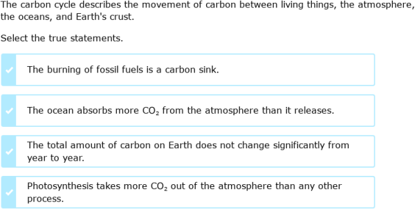 IXL | The carbon cycle | 8th grade science