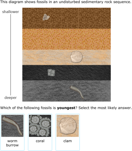 IXL | Compare ages of fossils in a rock sequence | 6th grade science
