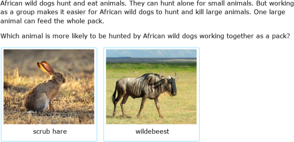 IXL | Benefits of group behavior: African wild dogs | 2nd grade science
