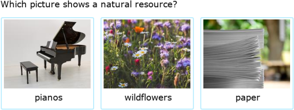 IXL | Natural resources | 1st grade science