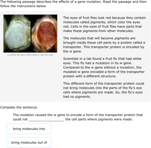 IXL | Describe the effects of gene mutations on organisms | 7th grade ...