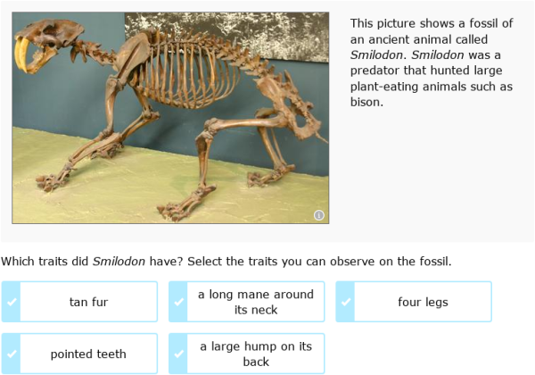 IXL | Compare fossils to modern organisms | 4th grade science