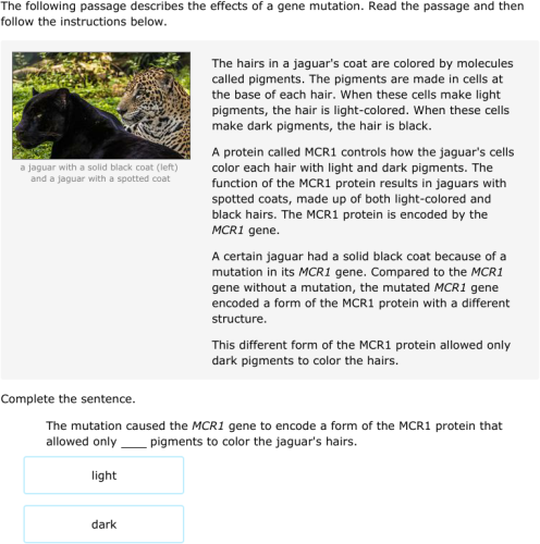 IXL | Describe the effects of gene mutations on organisms | 8th grade ...