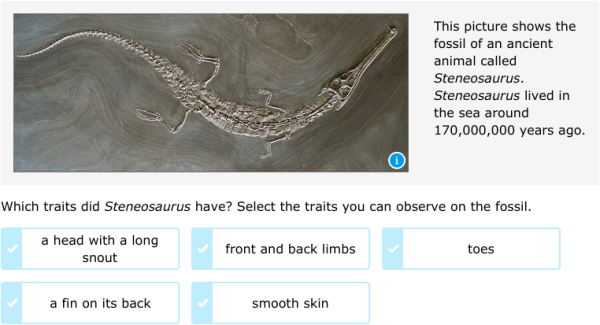 IXL | Compare fossils to modern organisms | 4th grade science