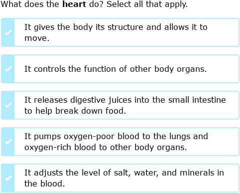 IXL | Human organs and their functions | 5th grade science