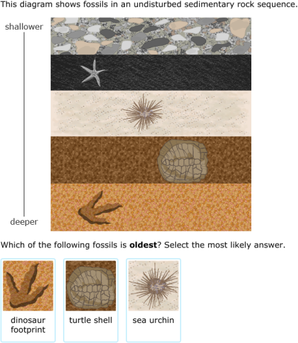 IXL | Compare ages of fossils in a rock sequence | 8th grade science