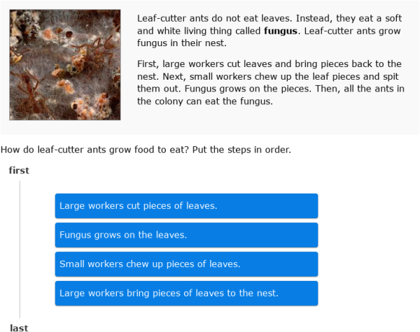 IXL | Benefits of group behavior: leaf-cutter ants | 2nd grade science
